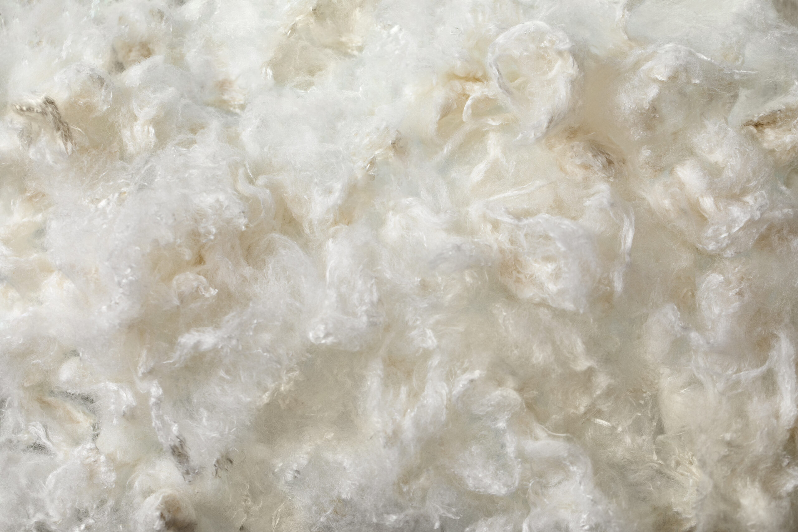 Infinna™ wins World Bioproduct Day ‘Environmental Impact’ award ...